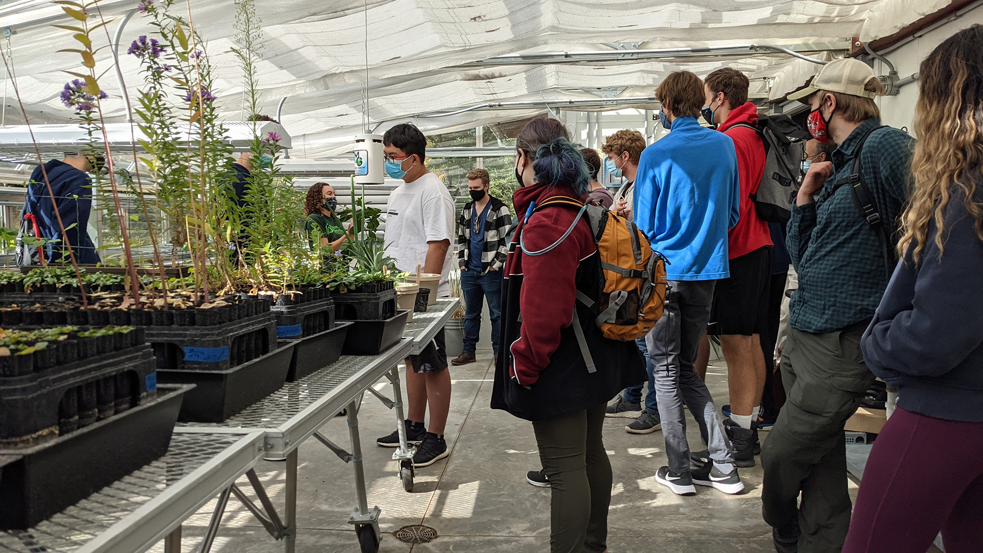 GreenHouse Learning Community – University Housing – UW–Madison
